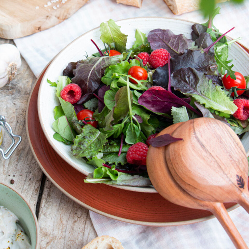 Official Thomas Porcelain Online Shop