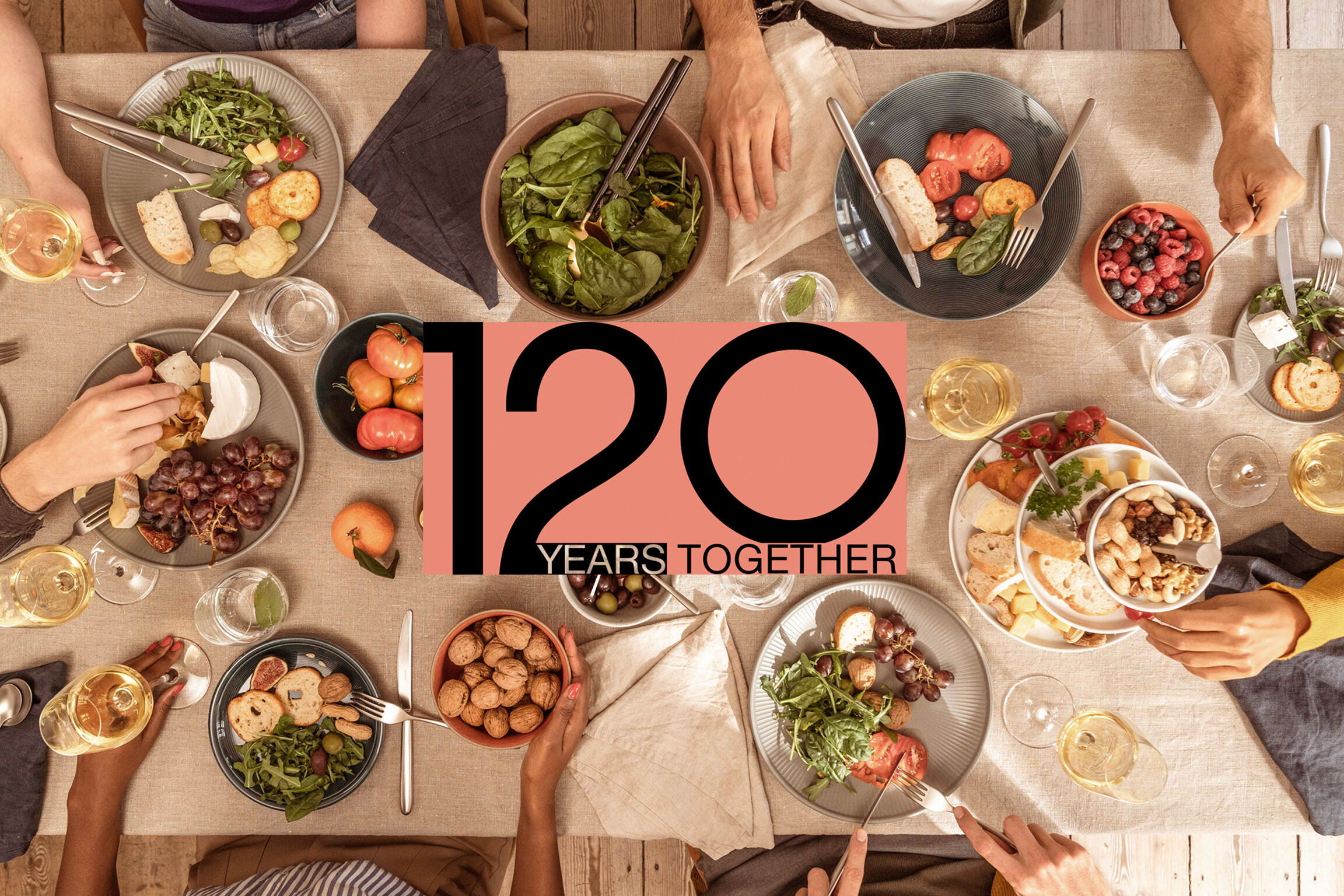 Official Thomas Porcelain Online Shop