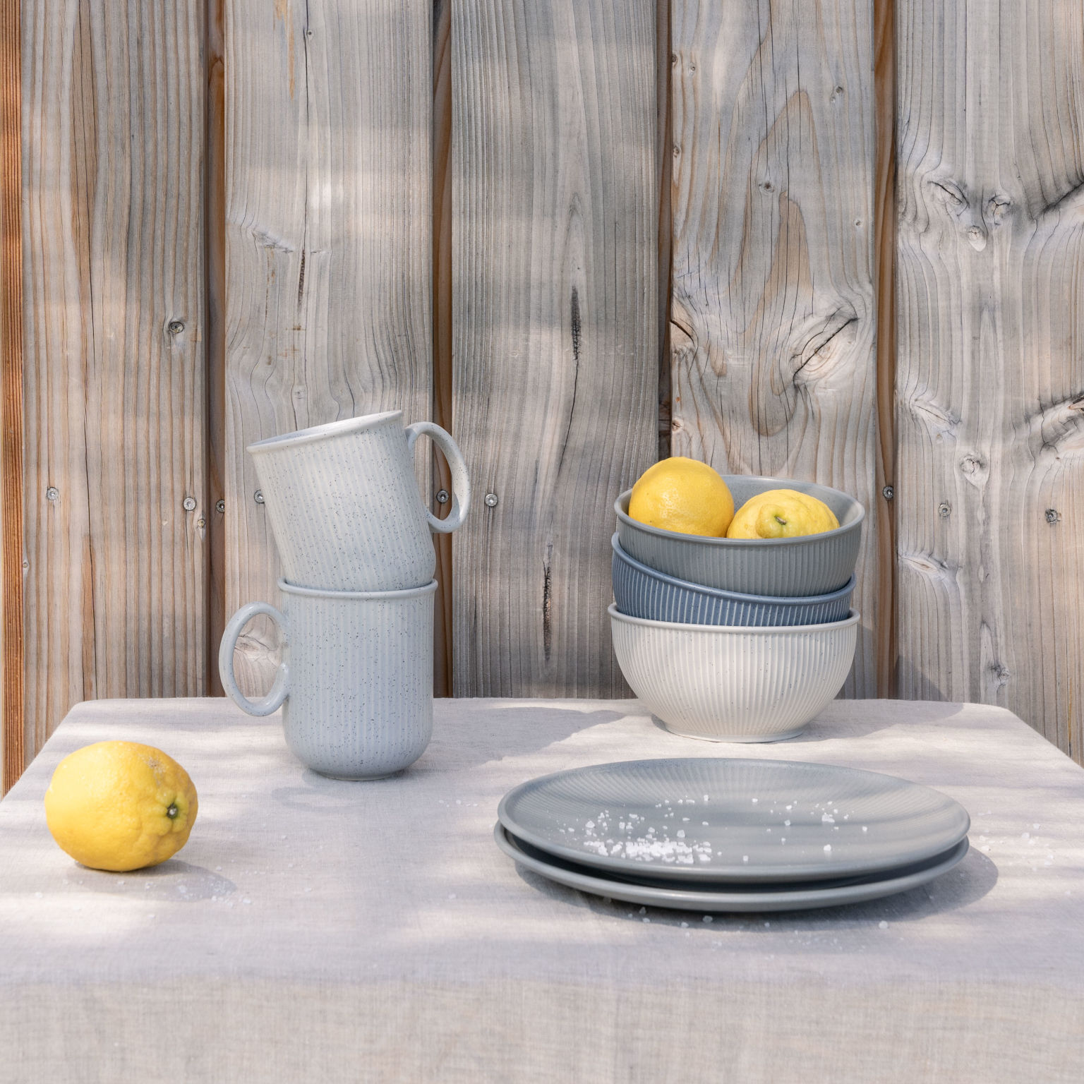 Official Thomas Porcelain Online Shop