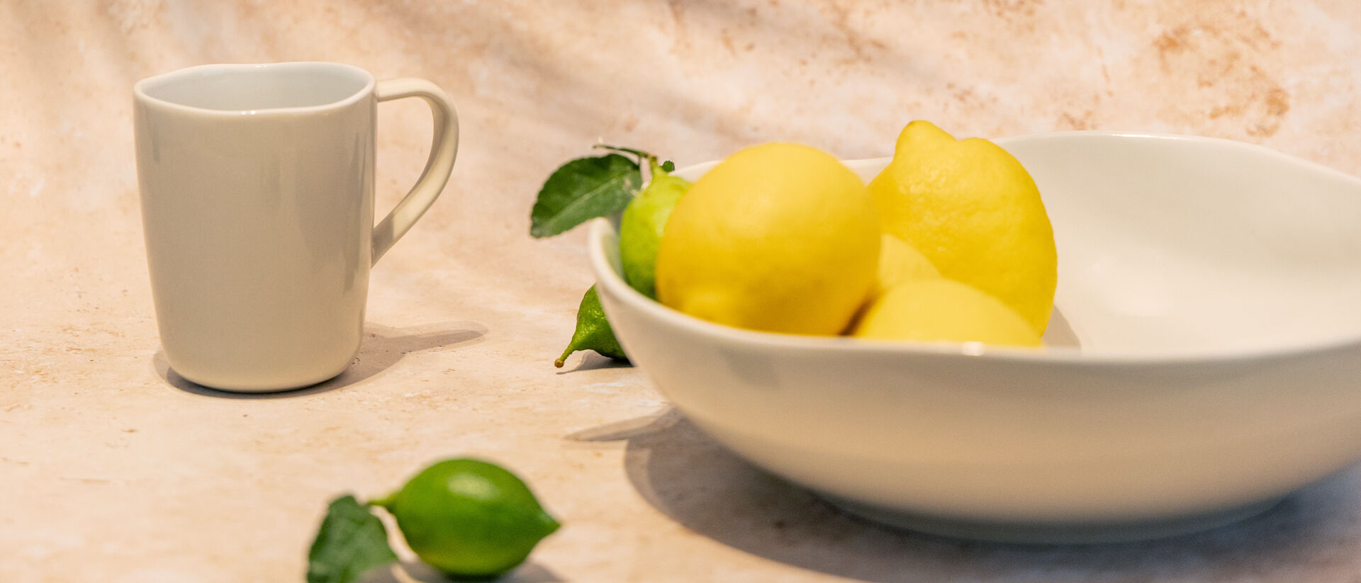 Official Thomas Porcelain Online Shop