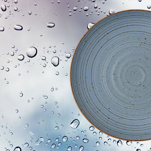 Official Thomas Porcelain Online Shop