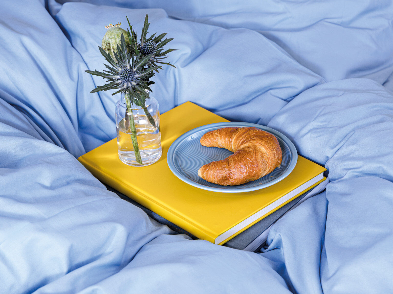 Official Thomas Porcelain Online Shop