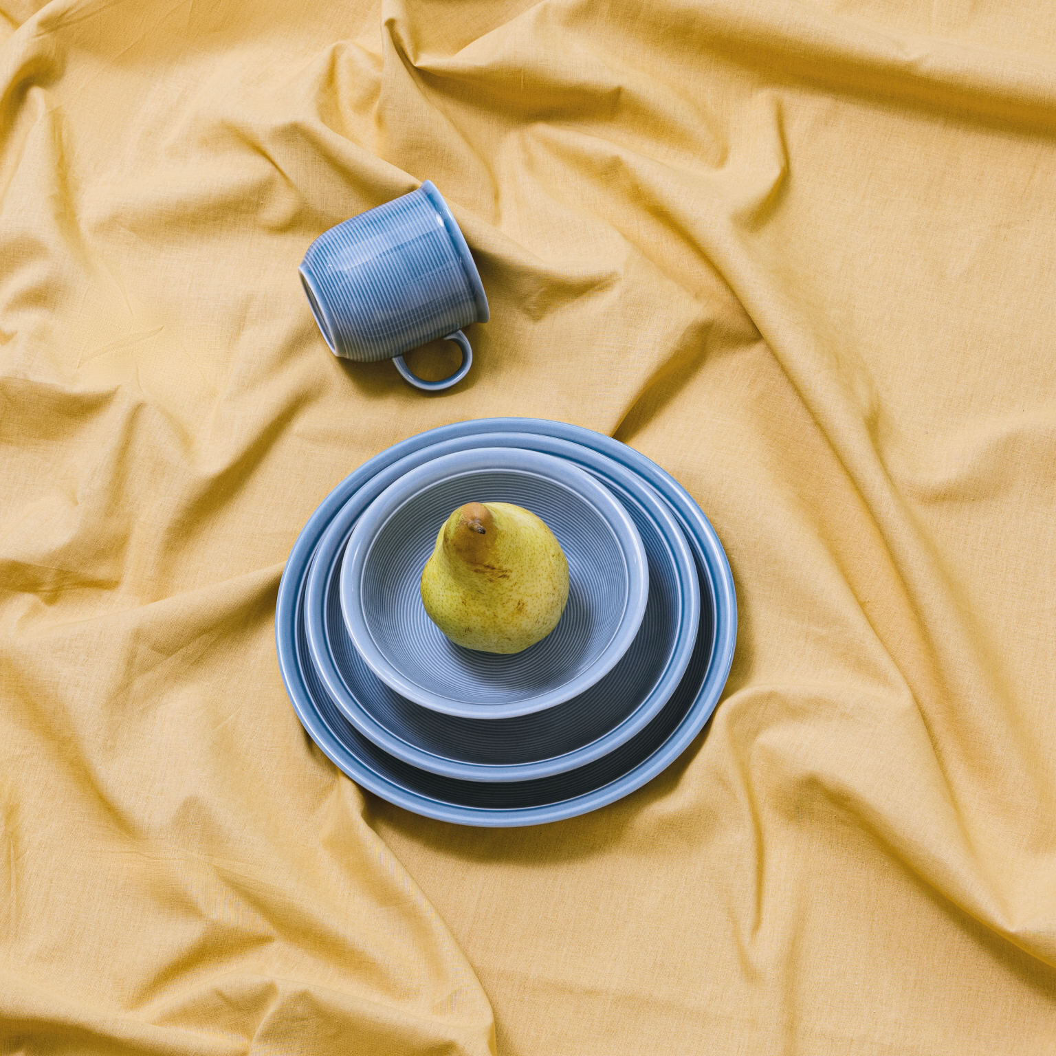 Official Thomas Porcelain Online Shop