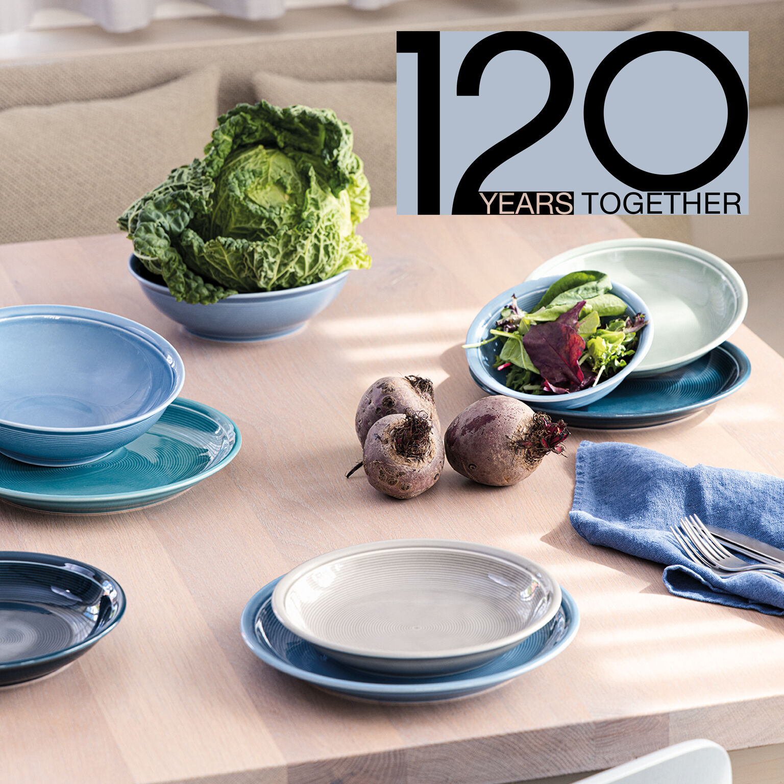 Offizieller Thomas Porzellan Online Shop